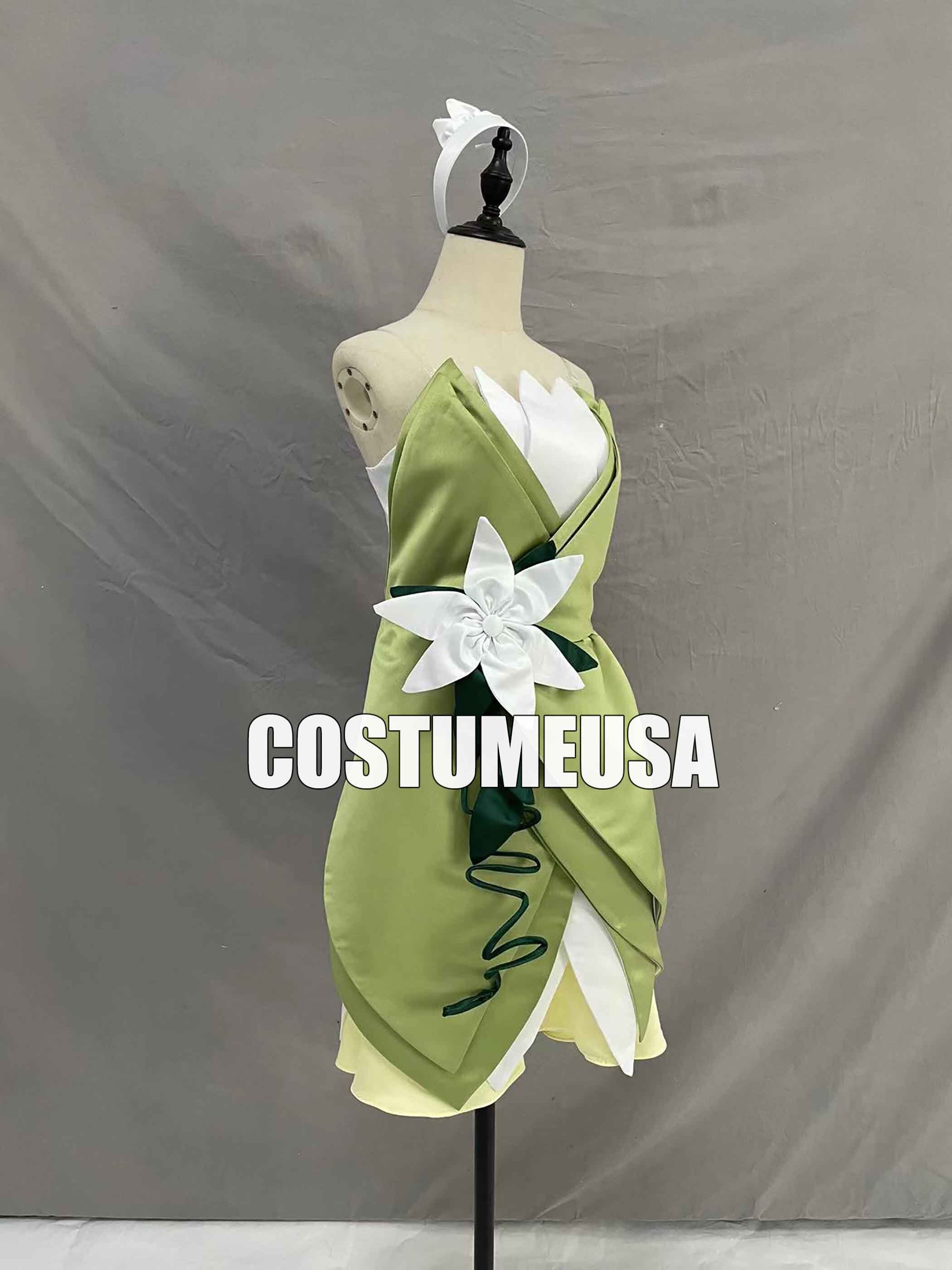 Princess Tiana Dress Princess and the Frog Tiana Dress Short Dance ...