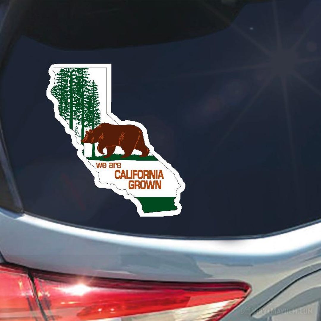 California Grown Sticker Decal CA Californian Bear LA Sf Sd Golden - Etsy