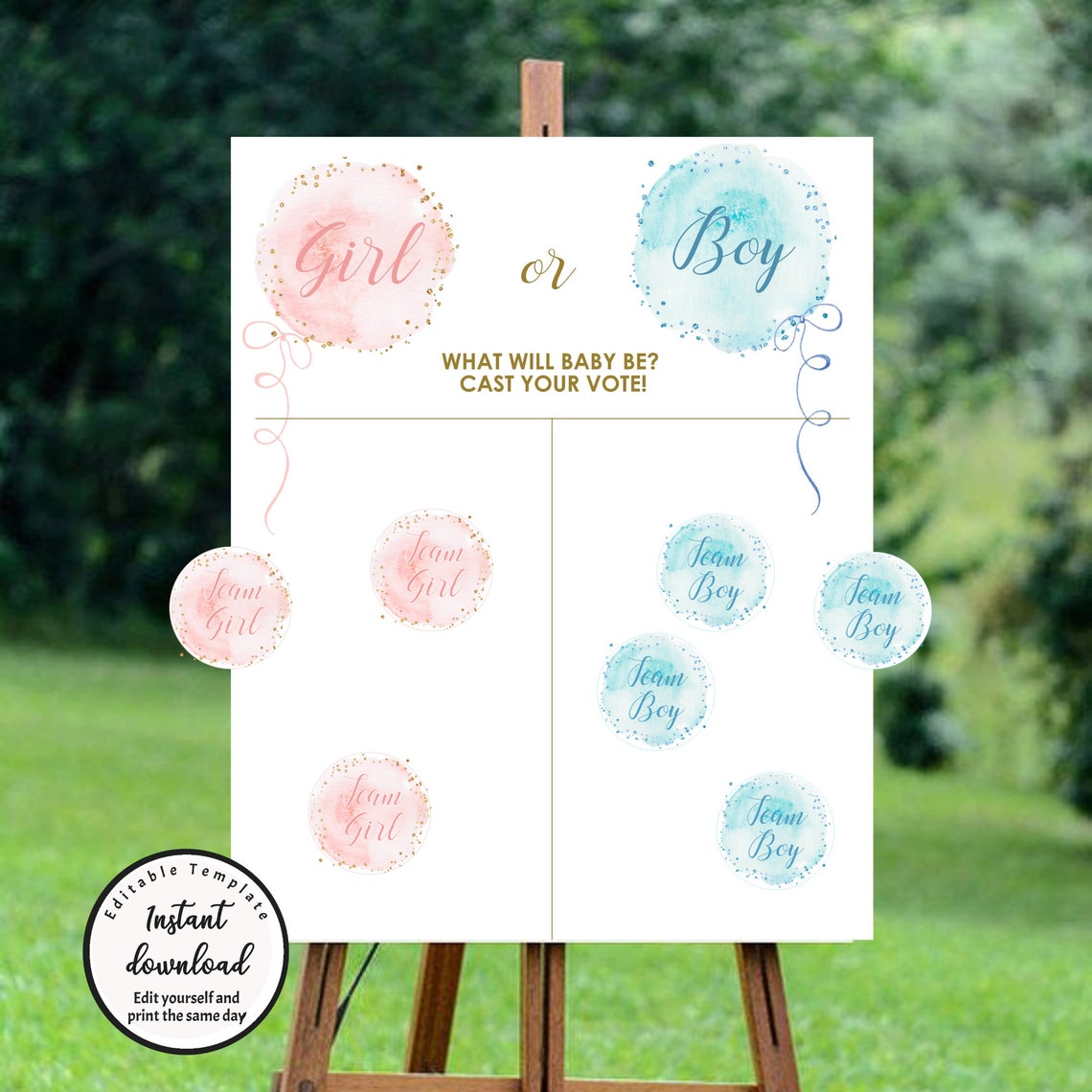 Boy or Girl chart Guess the Gender sign pink and blue boy | Etsy