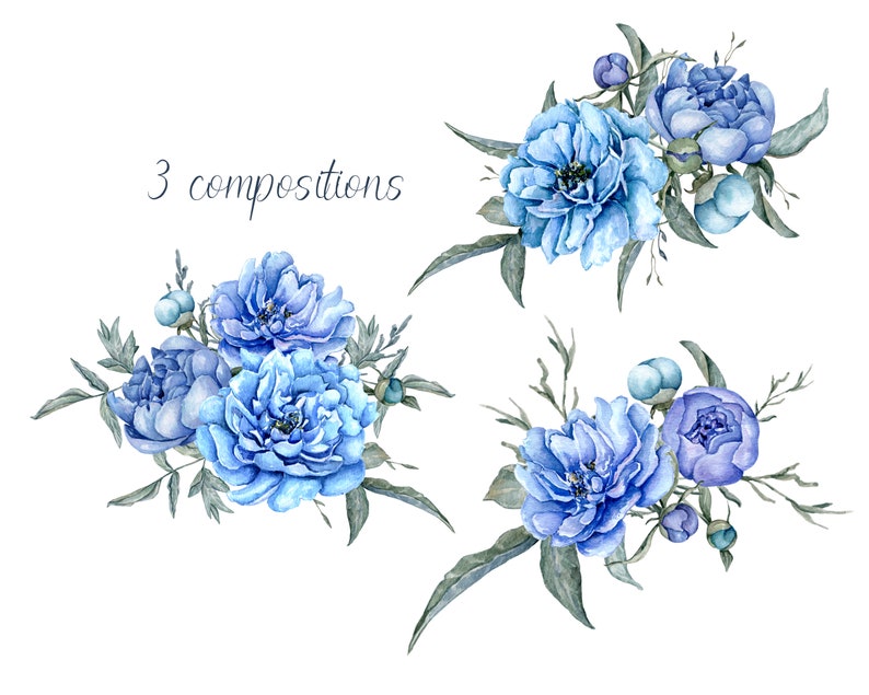 Watercolor Blue Peonies PNG Clipart. Hand Drawn Beautiful Blue - Etsy