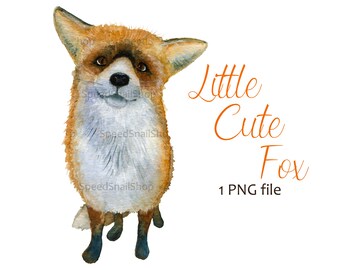 Fox Clipart Cute Fox Clipart Baby Shower Clipart Party - Etsy
