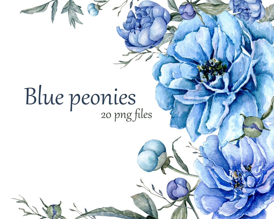 Watercolor Blue Peonies PNG Clipart. Hand Drawn Beautiful Blue - Etsy