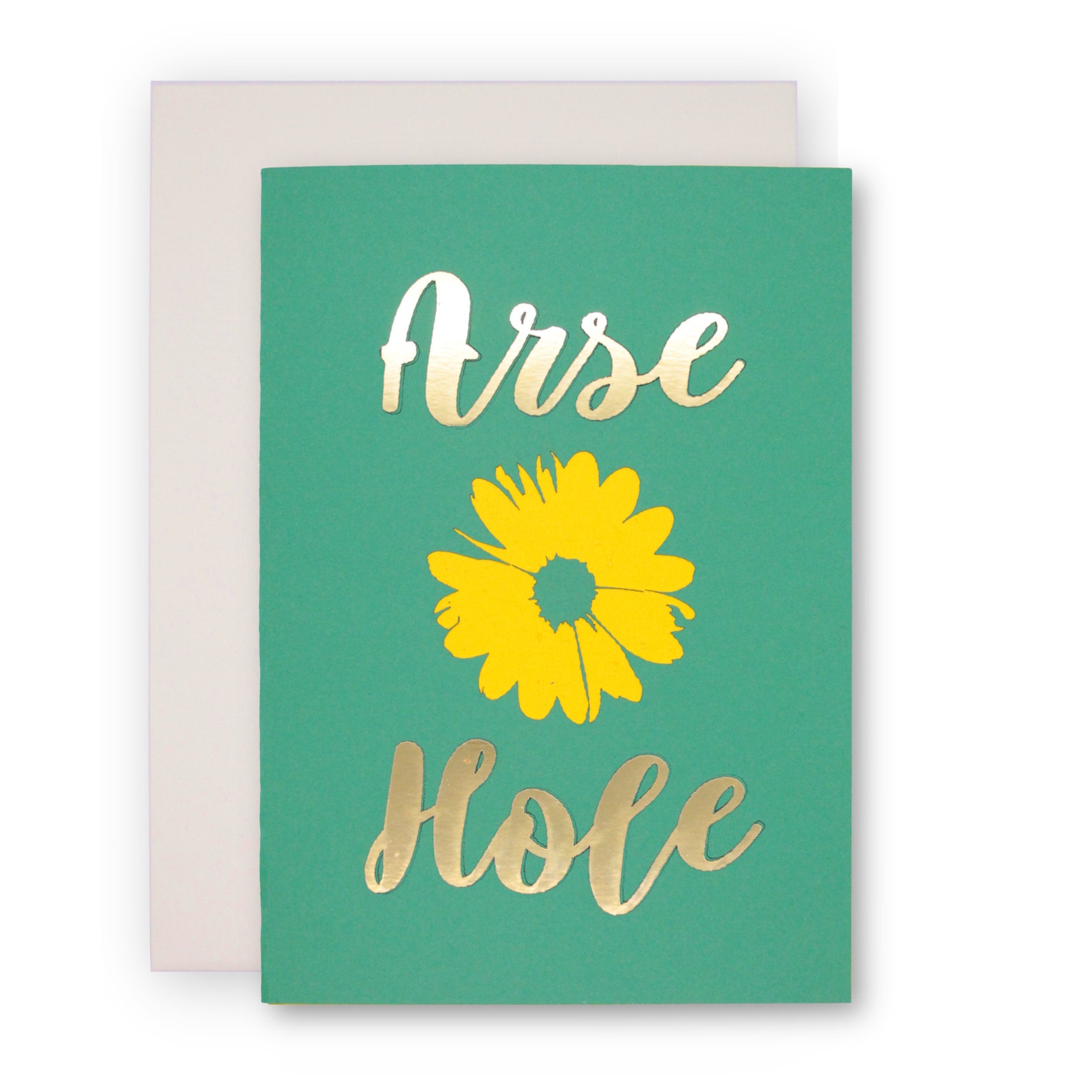 Arse Hole Daisy Rude Greeting Card - Etsy