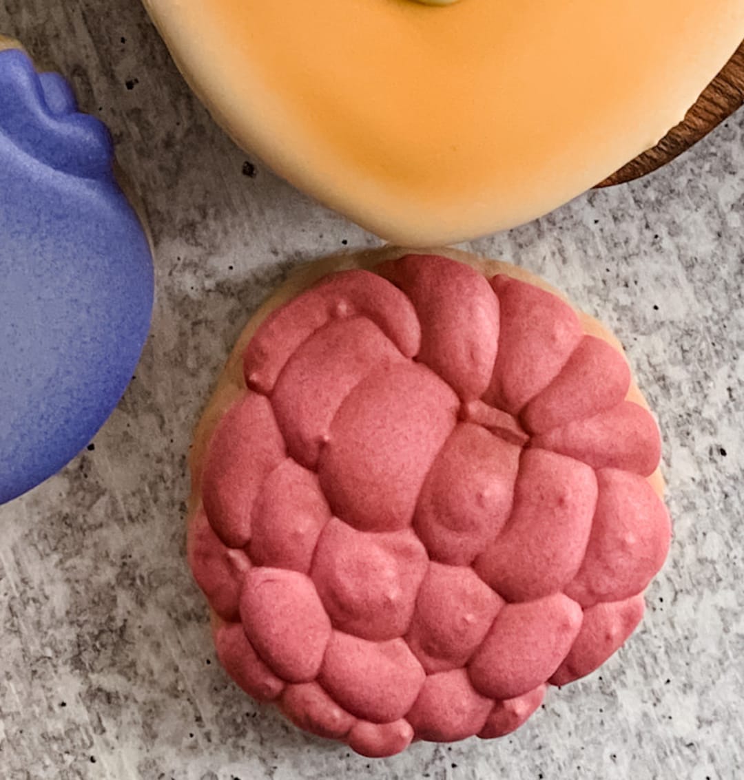 Raspberry or Blackberry Cookie Cutter - Etsy