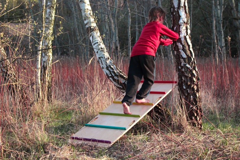 S/M/L/XXL Reversible Ramp/slide With Bars - Etsy