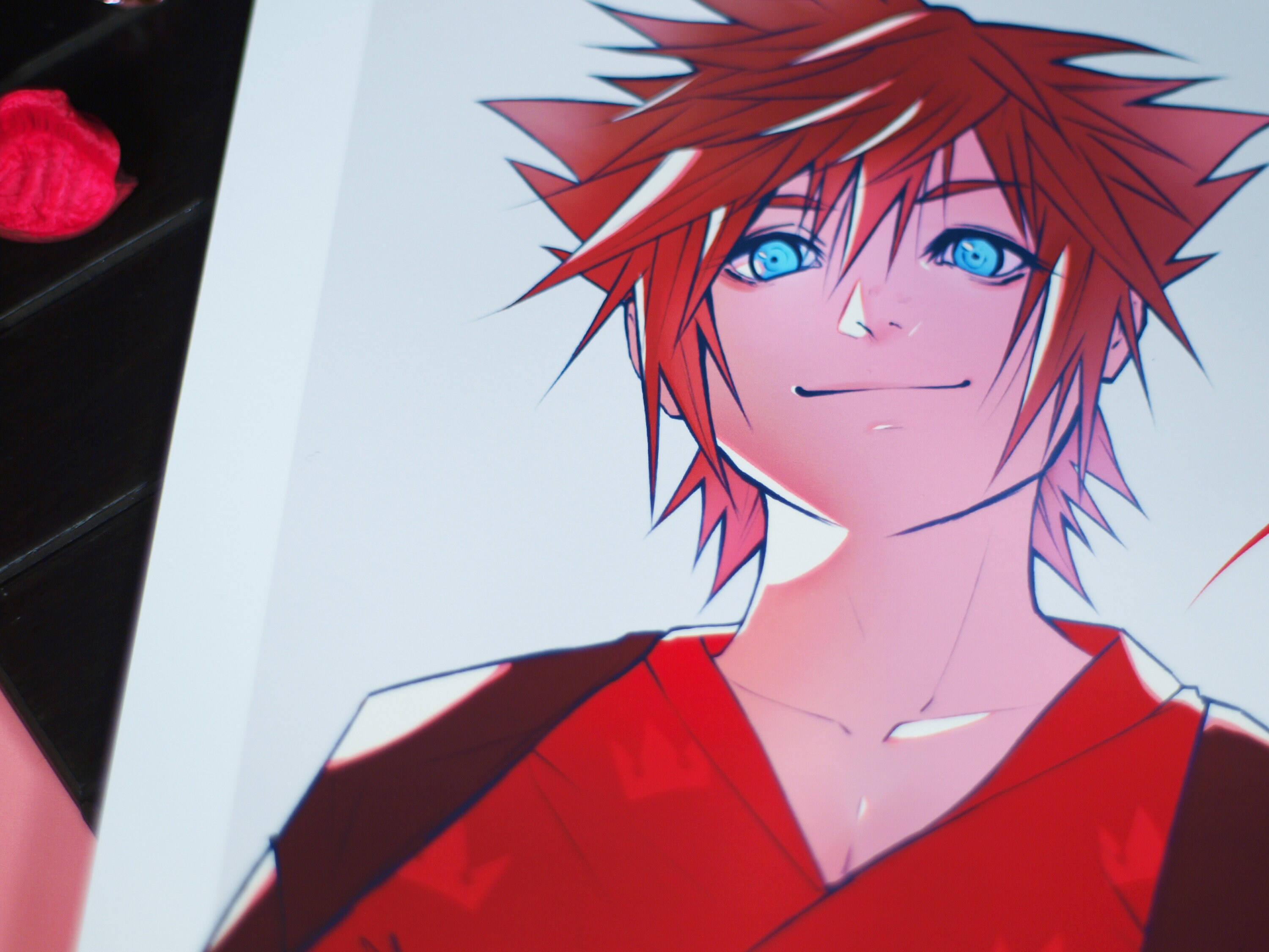 Art Print Kingdom Hearts Sora and Vanitas - Etsy