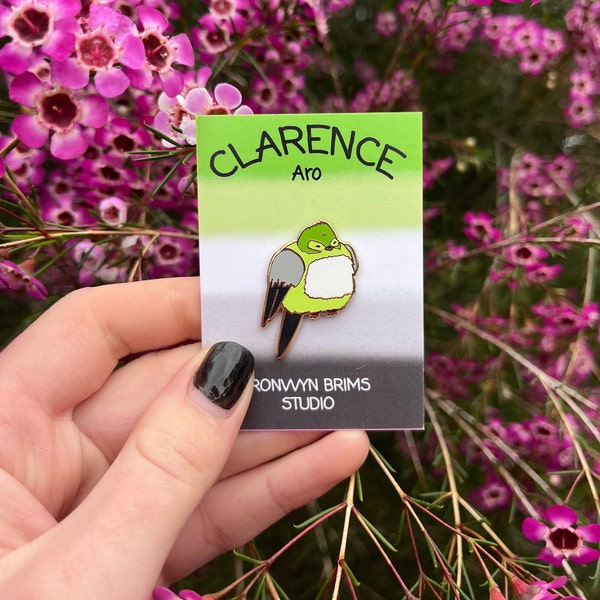 Aromantic Pin - Etsy