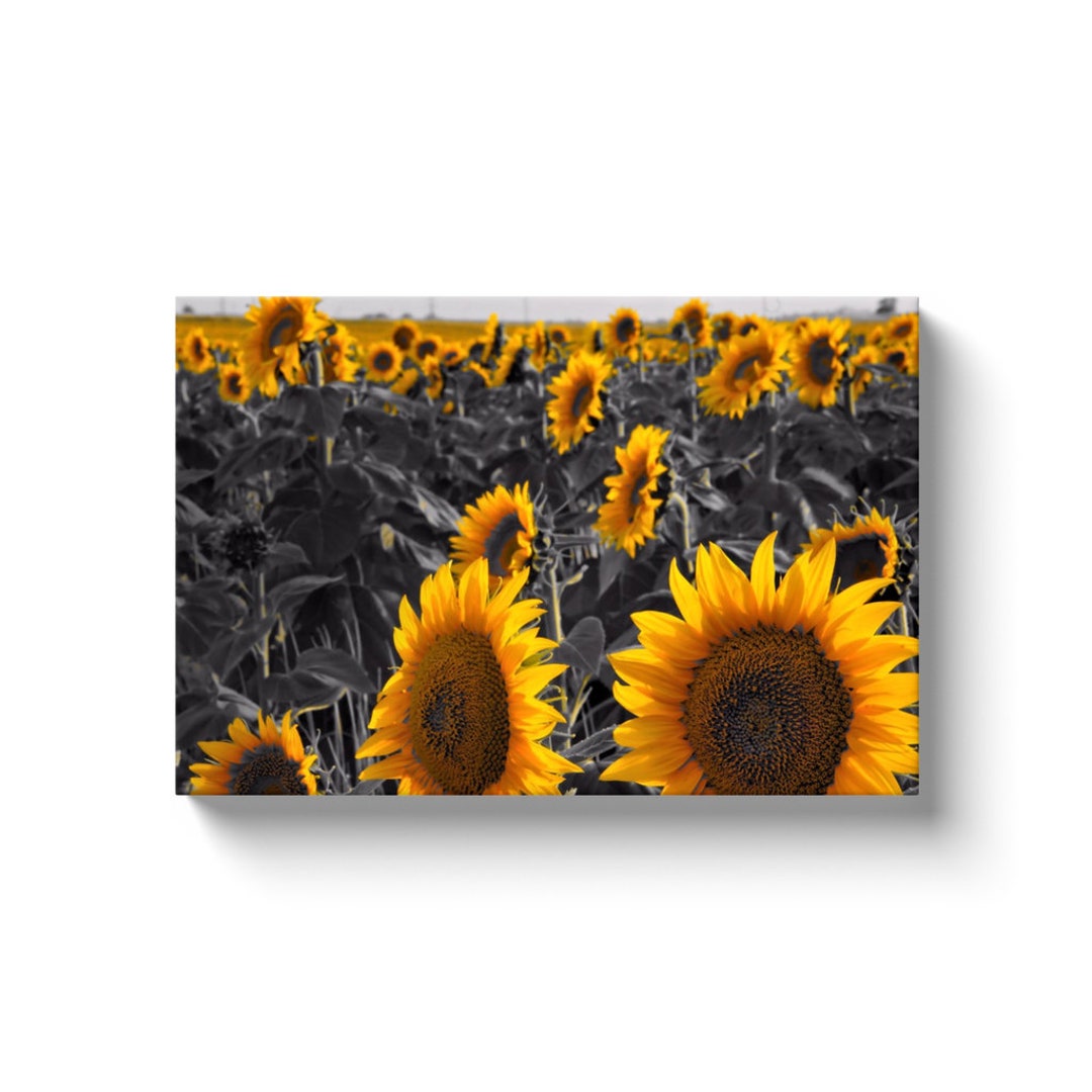 Sunbathing (solid Face Canvas With Solid Backing) - Etsy