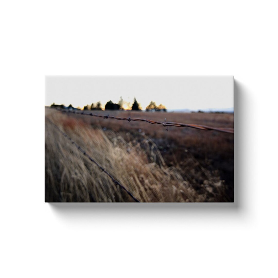 Cr31 Barbed Wire (solid Face Canvas With Solid Backing) - Etsy