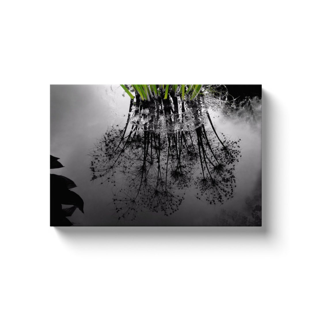 Floral Reflection (solid Face Canvas With Solid Backing) - Etsy