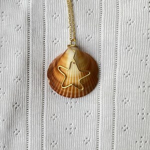 Beautiful Handmade Shell Necklace Beach Wire Wrapped Jewelry Pendant - Etsy
