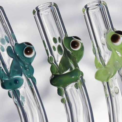 Turtle Glass Drinking Straw | Etsy