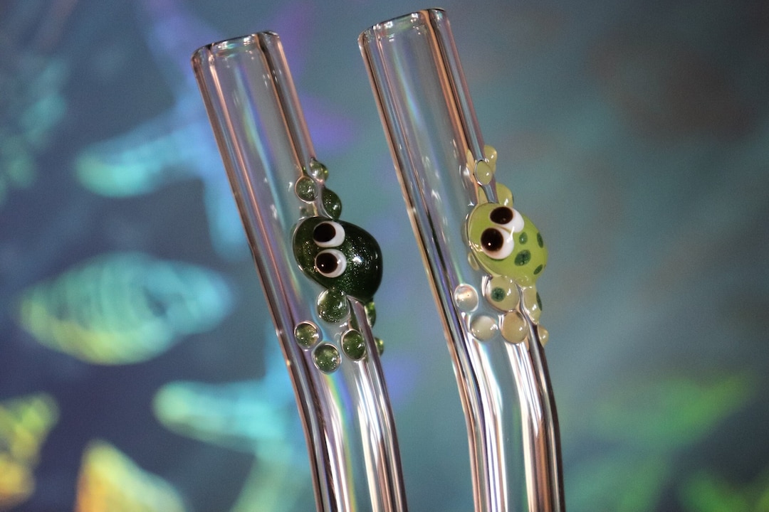 Set of 2 Frog Glass Drinking Straws - Etsy