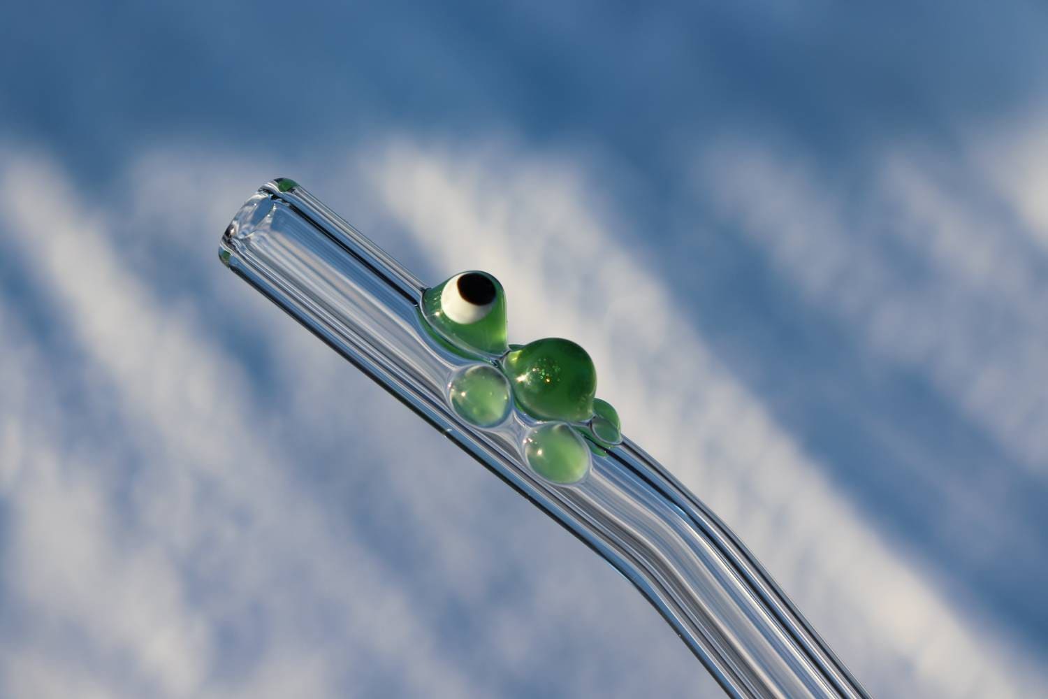 Turtle Glass Drinking Straw - Etsy Canada