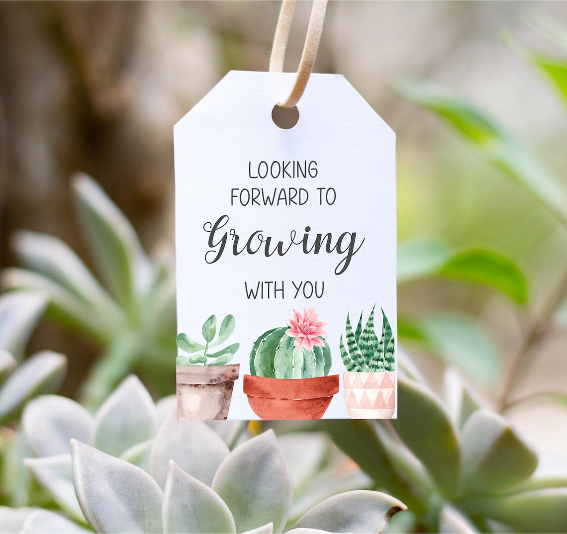 Succulent Favor Tags, Thank You for Helping Us Grow Tag, Teachers ...