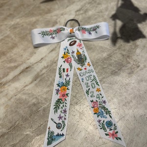Custom Painted Graduation Cap Ribbon Bow - Etsy