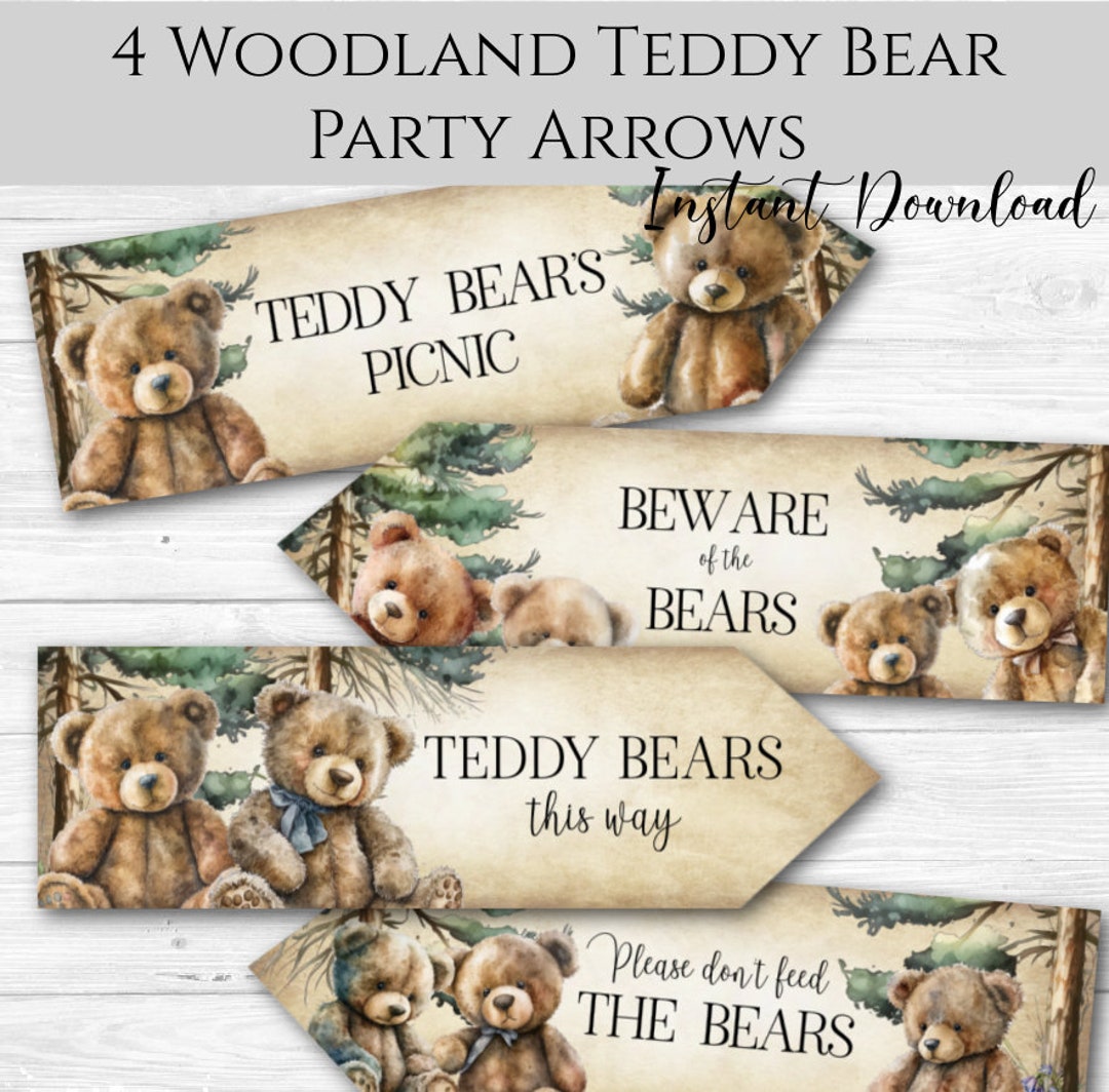 4 Woodland Teddy Bear Party Arrows Birthday Christening Baby Shower ...