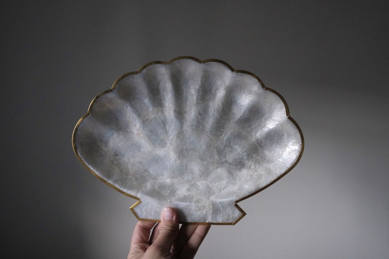 Capiz Shell Plate Shell Trinket Capiz Ornament Shell Coffee | Etsy