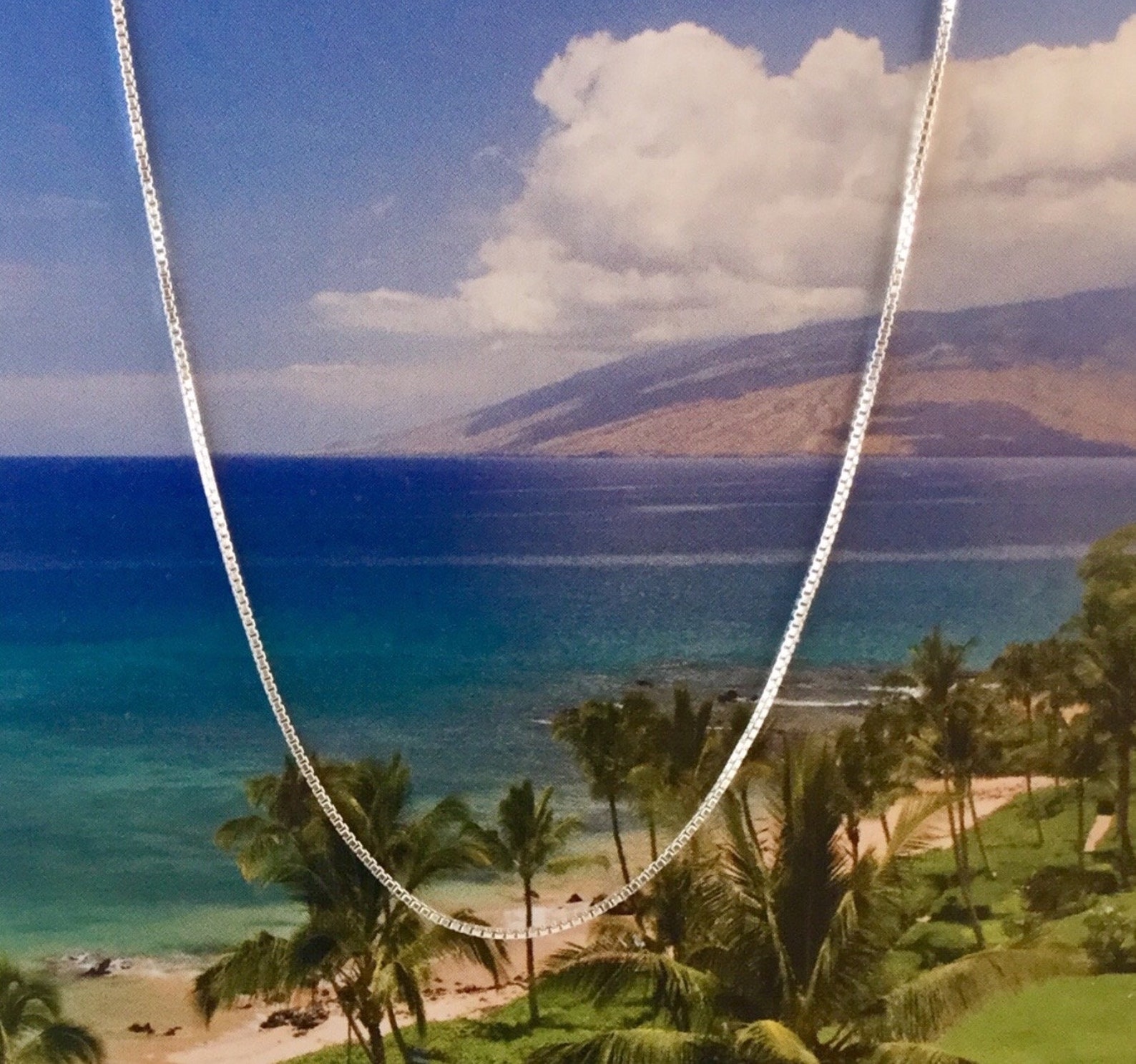 Large Sterling Silver Abalone Paua Shell Sea Turtle Honu Hawaiian ...