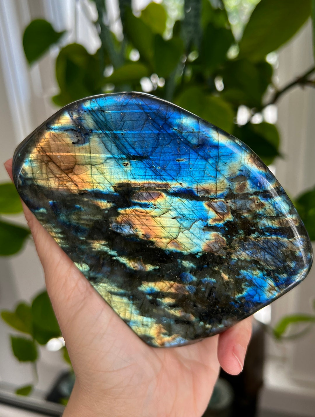 Blue & Gold Flash Labradorite Free Form, Healing Crystal, Reiki - Etsy