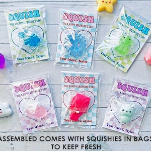 Squishy Valentine's Day Assembled Cards, PRINTED Squishy Valentine Card, Squishies School ...
