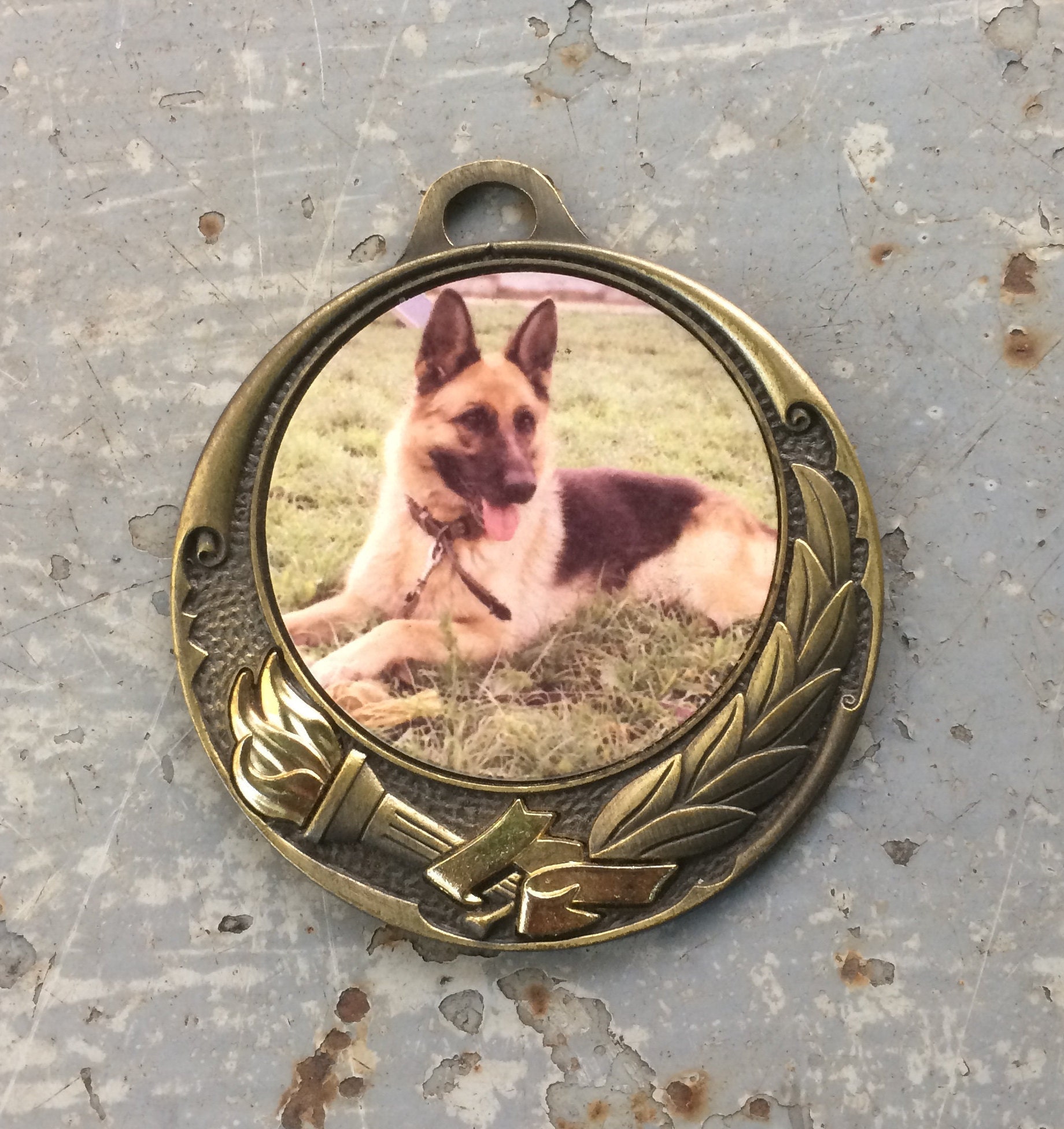 German Shepherd, Dog Champion, Dog Medal, Purebred Dog, Soviet Vintage ...