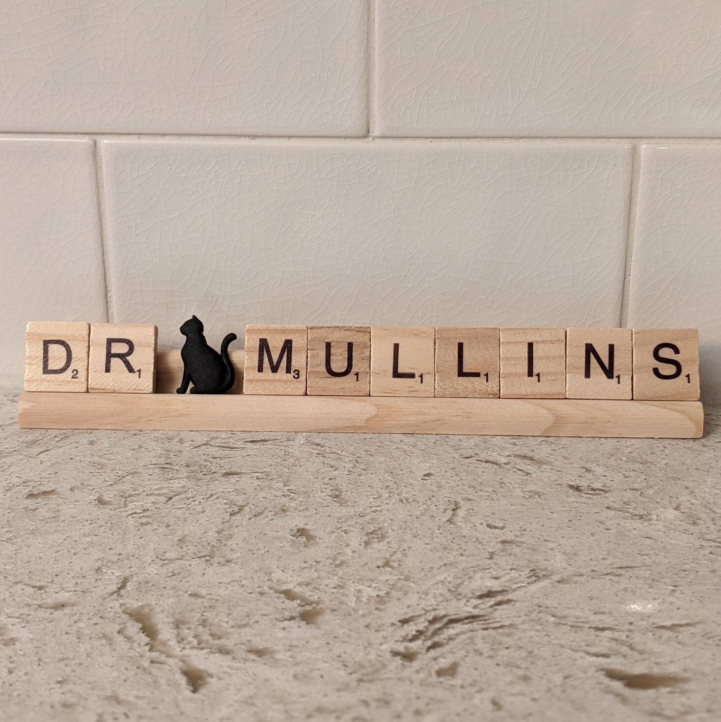 Personalized Cat Veterinarian Scrabble Tile Name Plates | Veterinarian ...