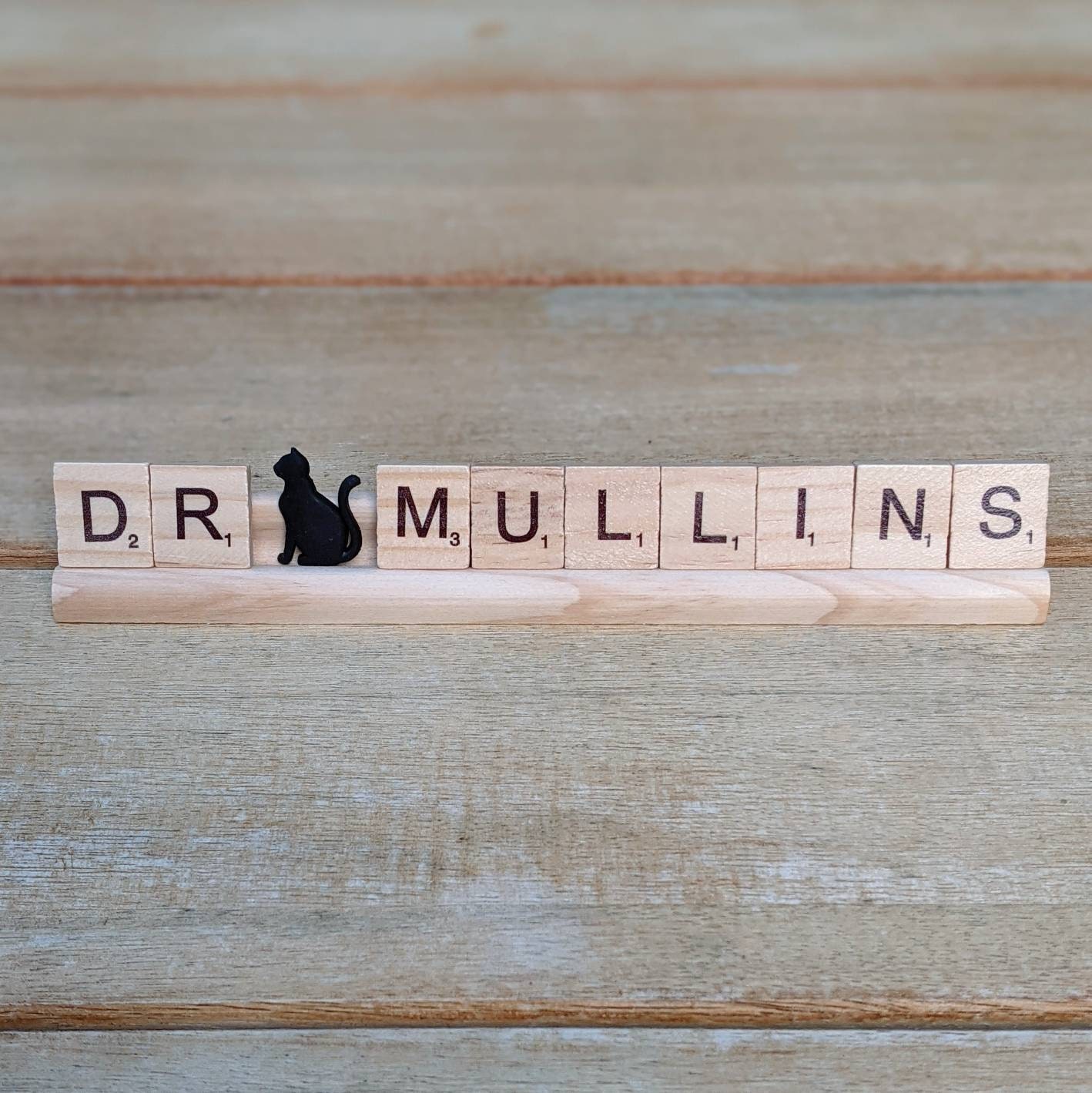 Personalized Cat Veterinarian Scrabble Tile Name Plates | Veterinarian ...