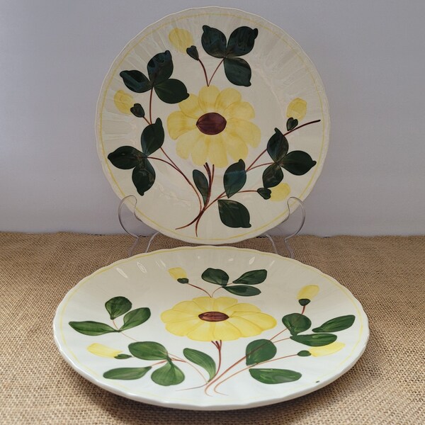 Blue Ridge Plates - Etsy