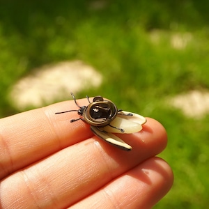 FIREFLY PIN SET / Firefly Pin - Glow in Dark Fireflies - Flexible ...