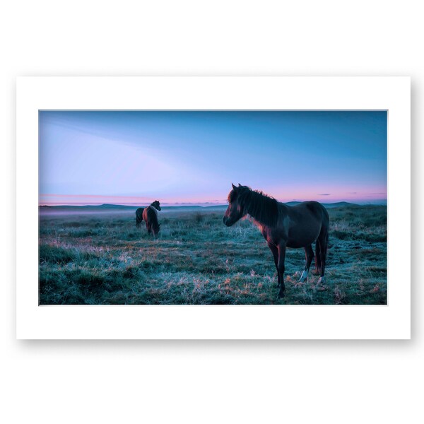 Ponies Print - Etsy