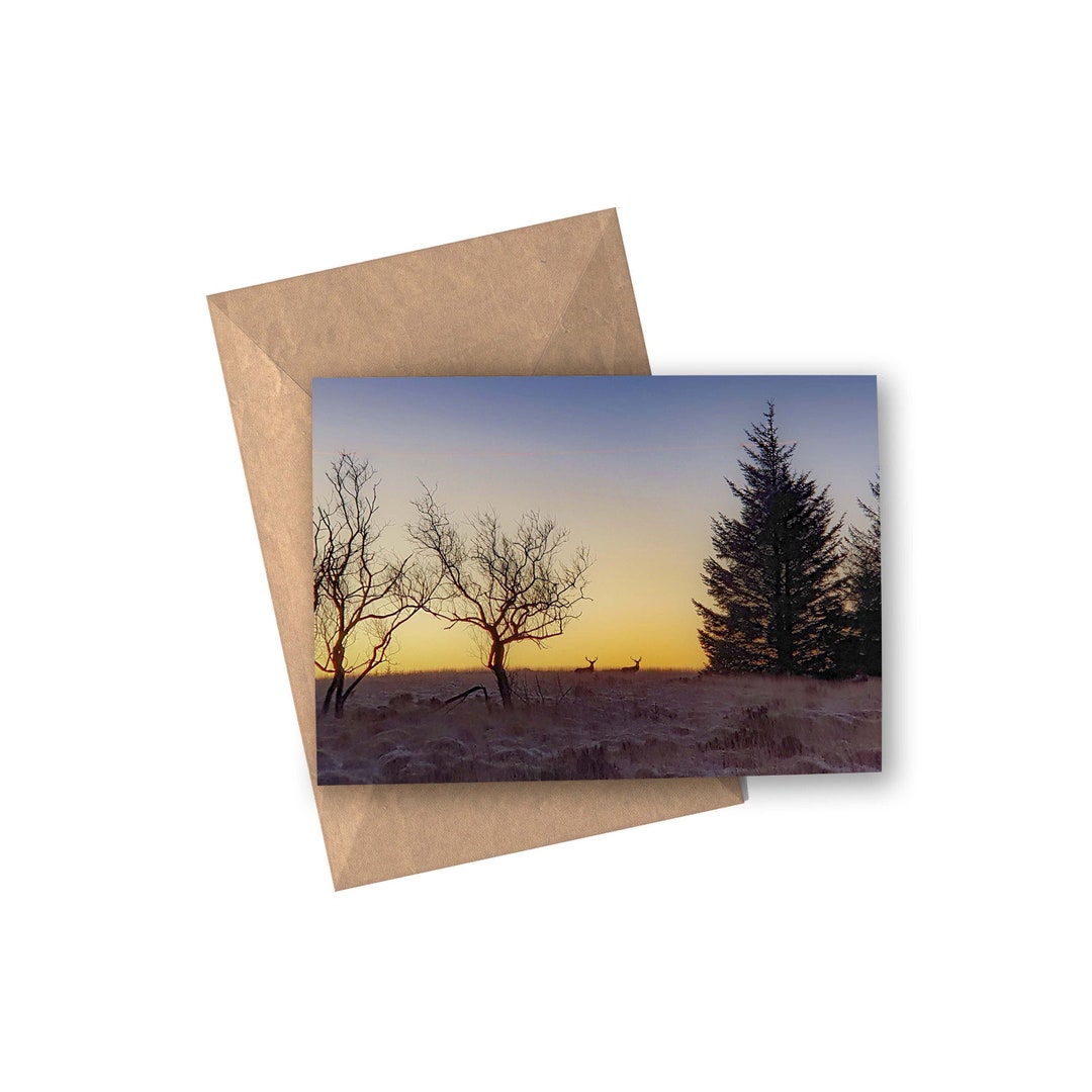 The Deer Stalk Greetings Card dartmoor - Etsy
