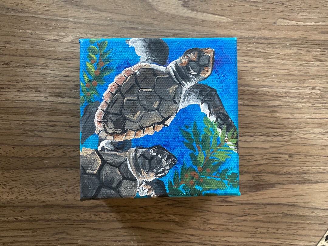 Baby Sea Turtles Set Sail - Etsy