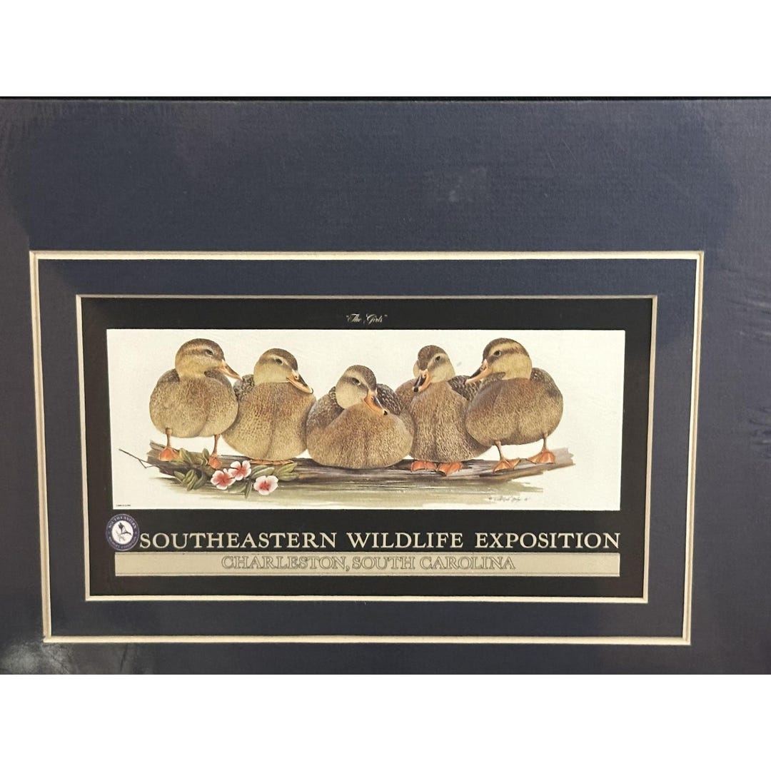 Southeastern Wildlife Exposition Ducklings Print Charleston Lamay “the ...