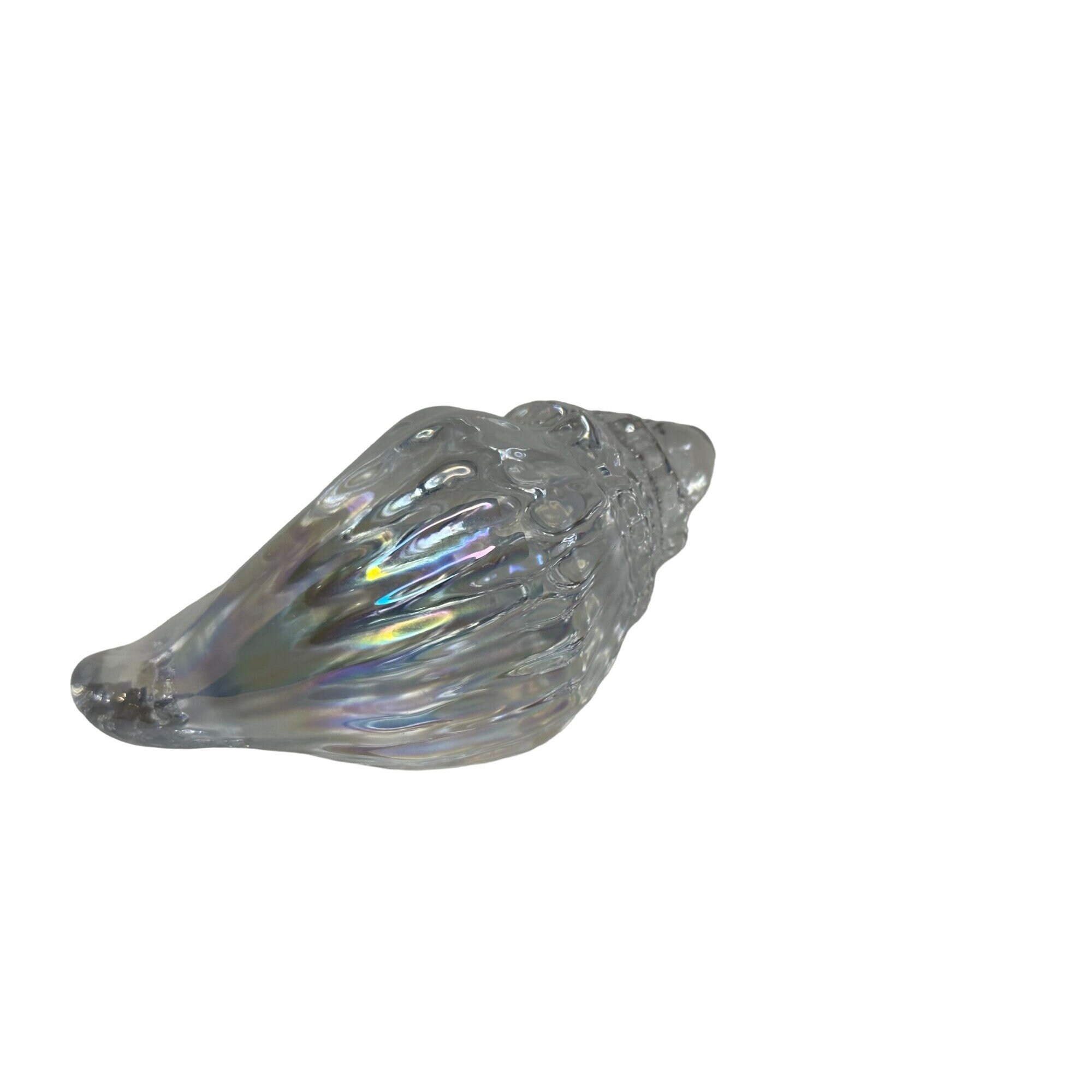 Iridesent Sea Shell Paperweight Beach Decor - Etsy