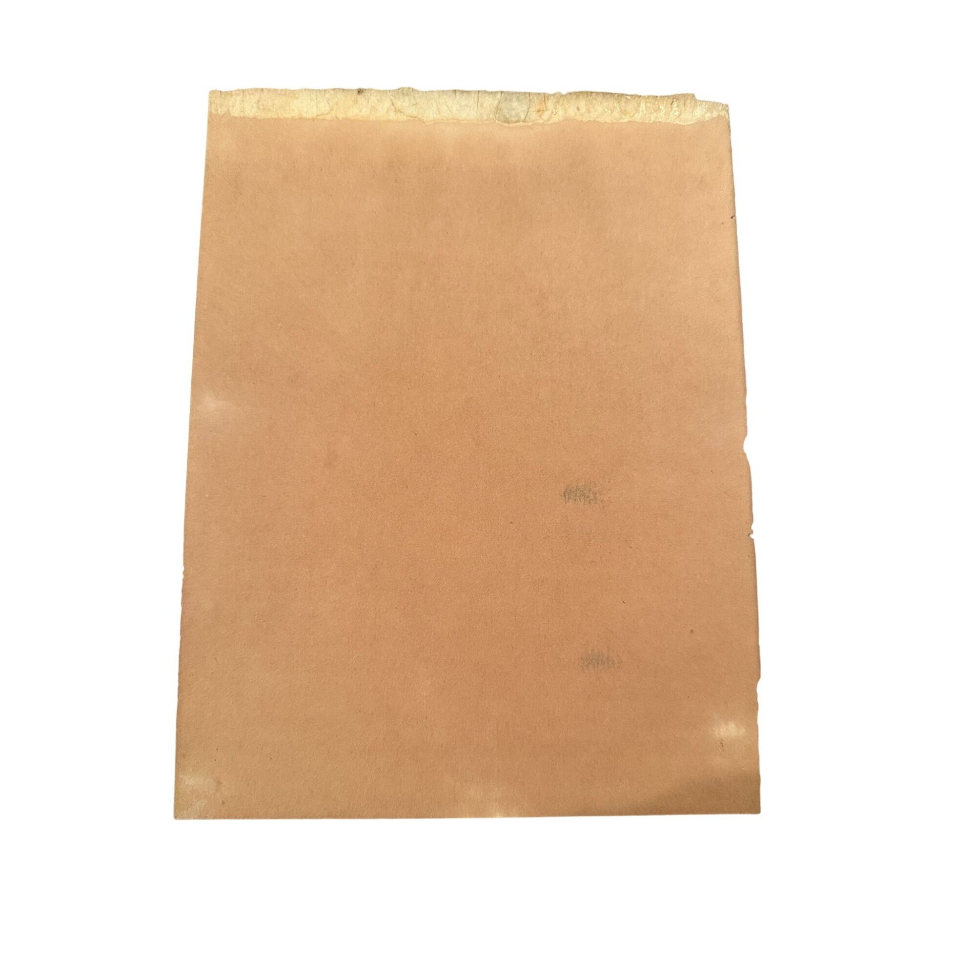 Antique Minnehaha Native American Indian Maiden Woman Art Print James ...