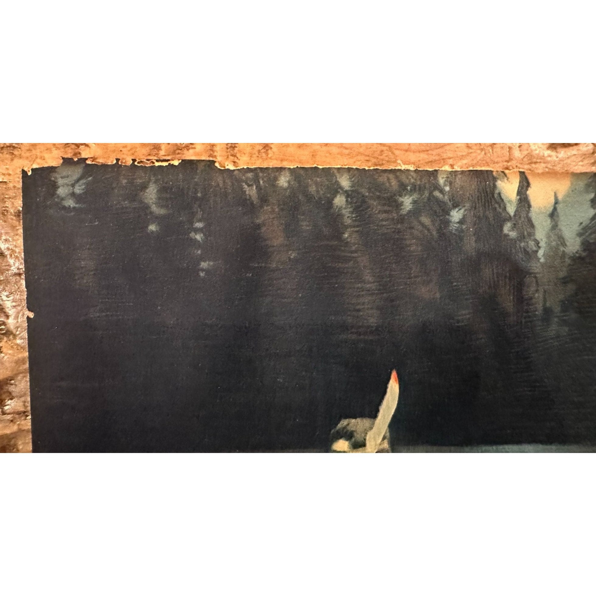 Antique Minnehaha Native American Indian Maiden Woman Art Print James ...