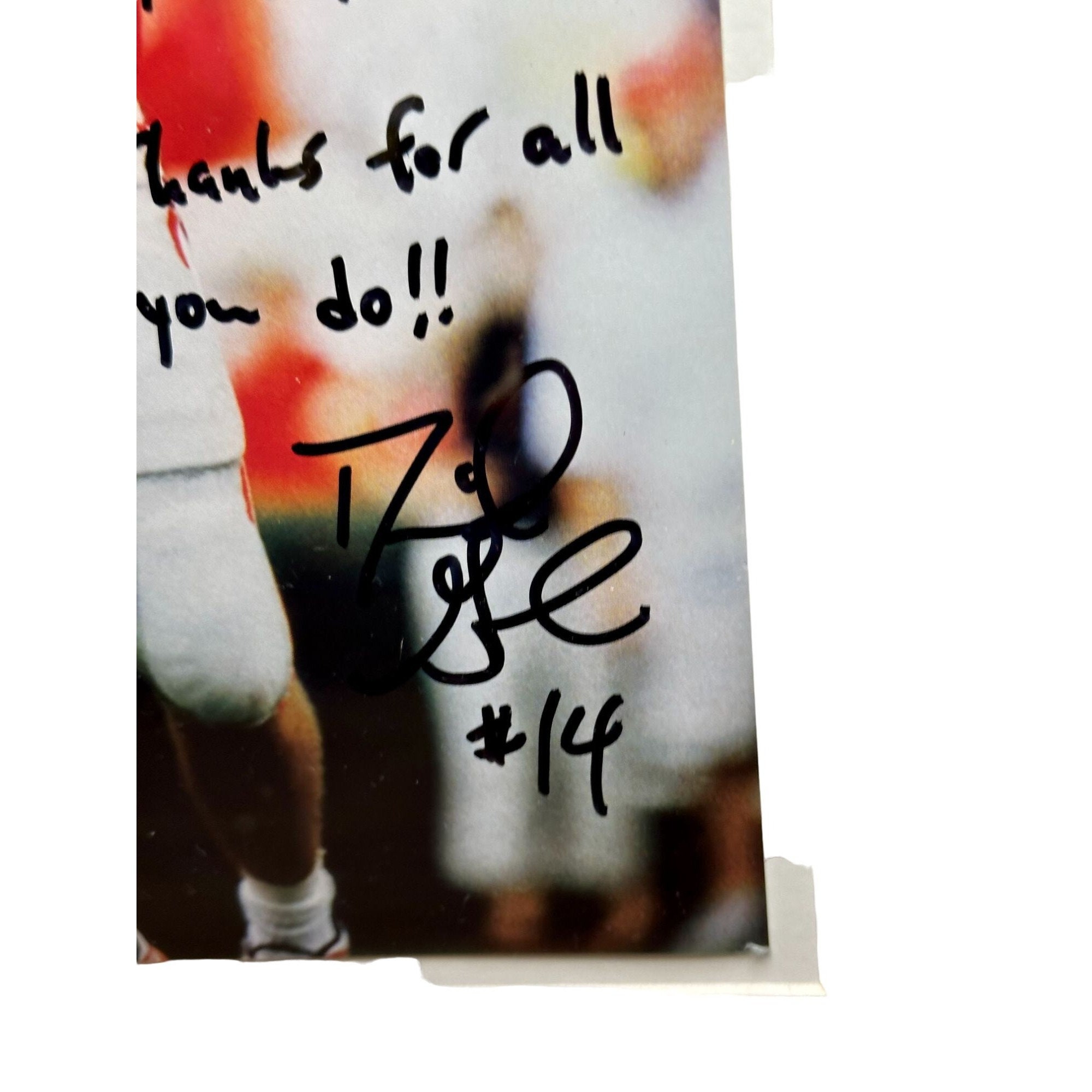 Georgia University Bulldogs Football Signed Photograph of David Greene ...