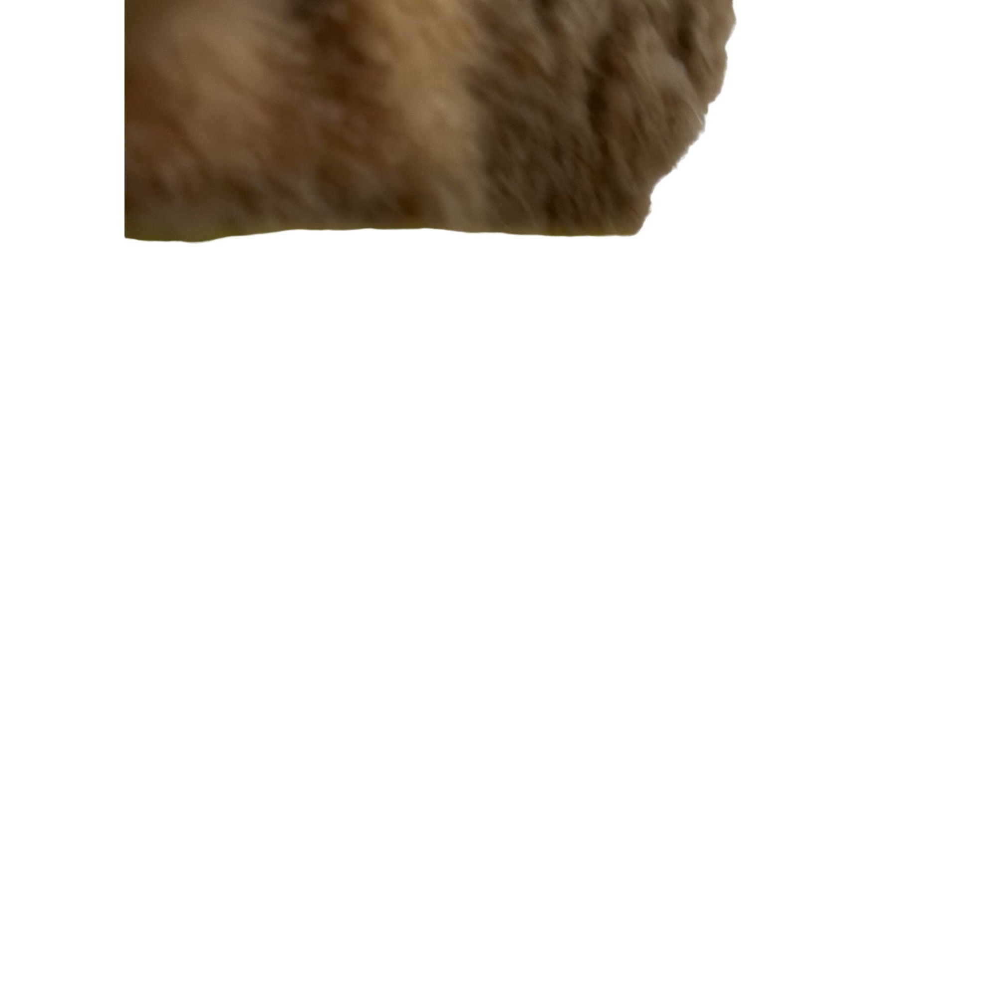 Applause Lou Rankin Friends Pig Plush Hand Puppet Brown - Etsy