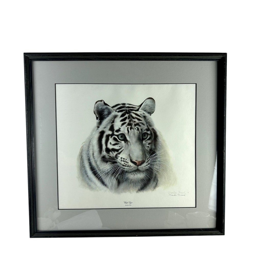 White Tiger Signed Print Charles Frace Paperwork Limited Print Framed ...