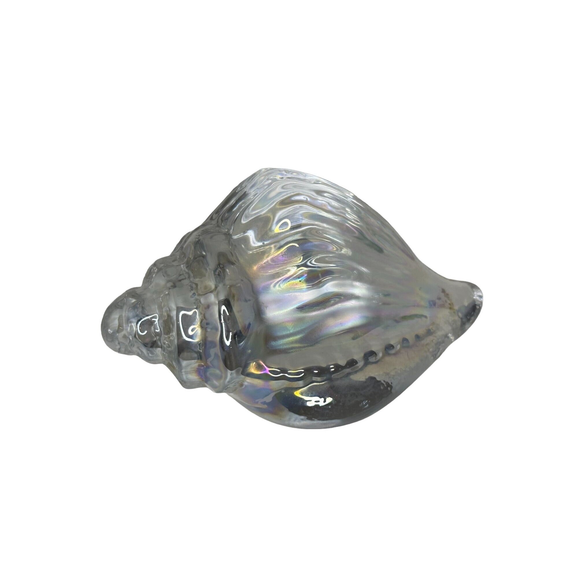 Iridesent Sea Shell Paperweight Beach Decor - Etsy
