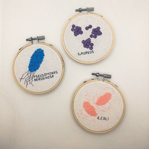 Bacteria Cross Stitch - Microorganisms - Finished Framed Cross Stitch ...