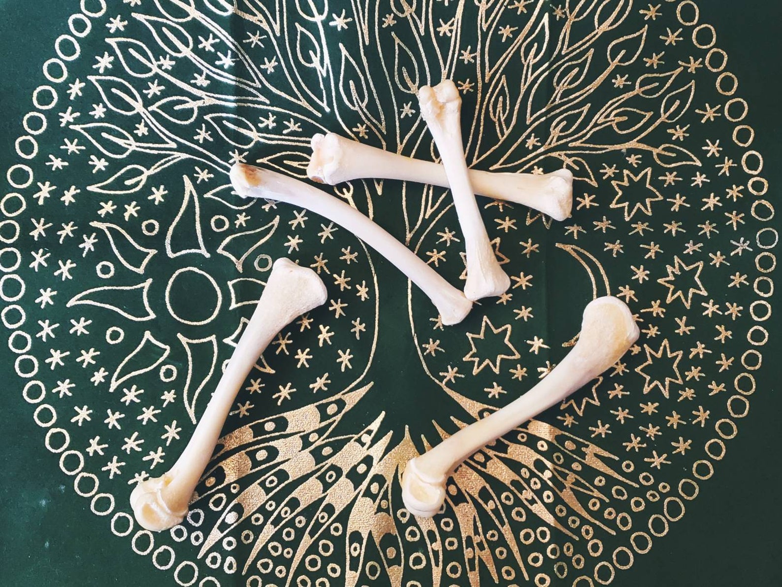 Yes/no Bone Reading | Divination | Bone Throwing | Osteomancy | Reading ...