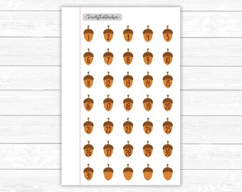 Acorn illustration | Etsy