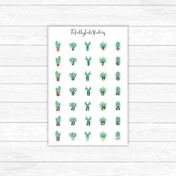 Cactus Planner Cover - Etsy
