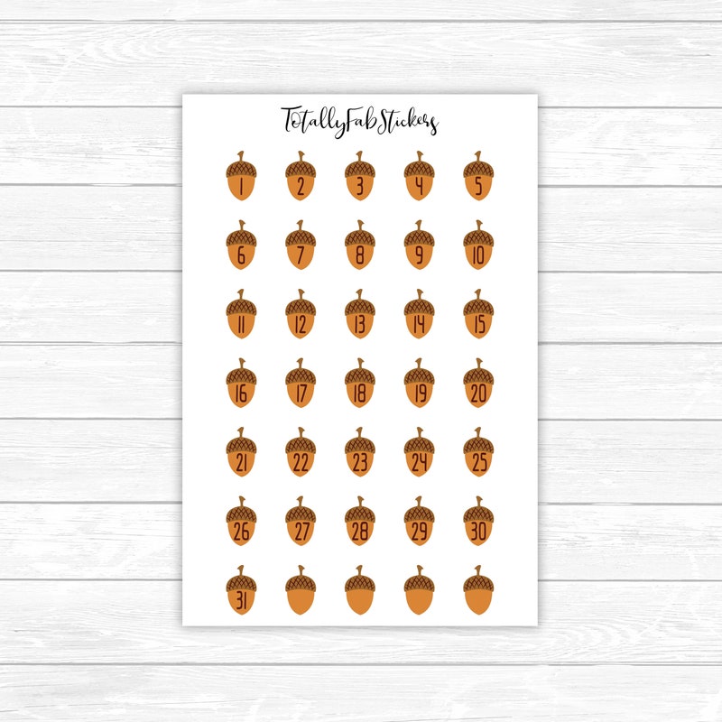 Colorful Acorns - Etsy