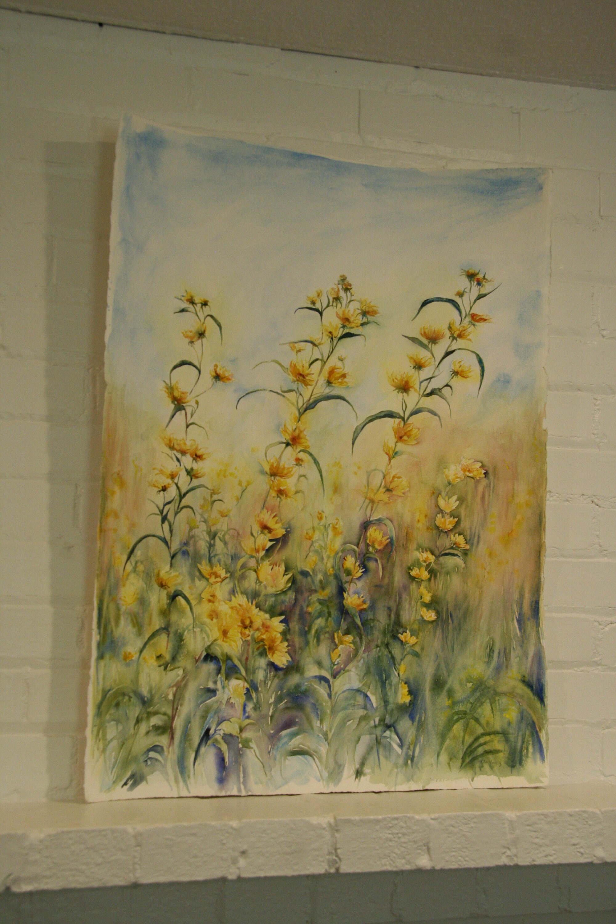 Wildflowers of the Tall Grass Prairie - Flint Hills Kansas Sunflowers ...