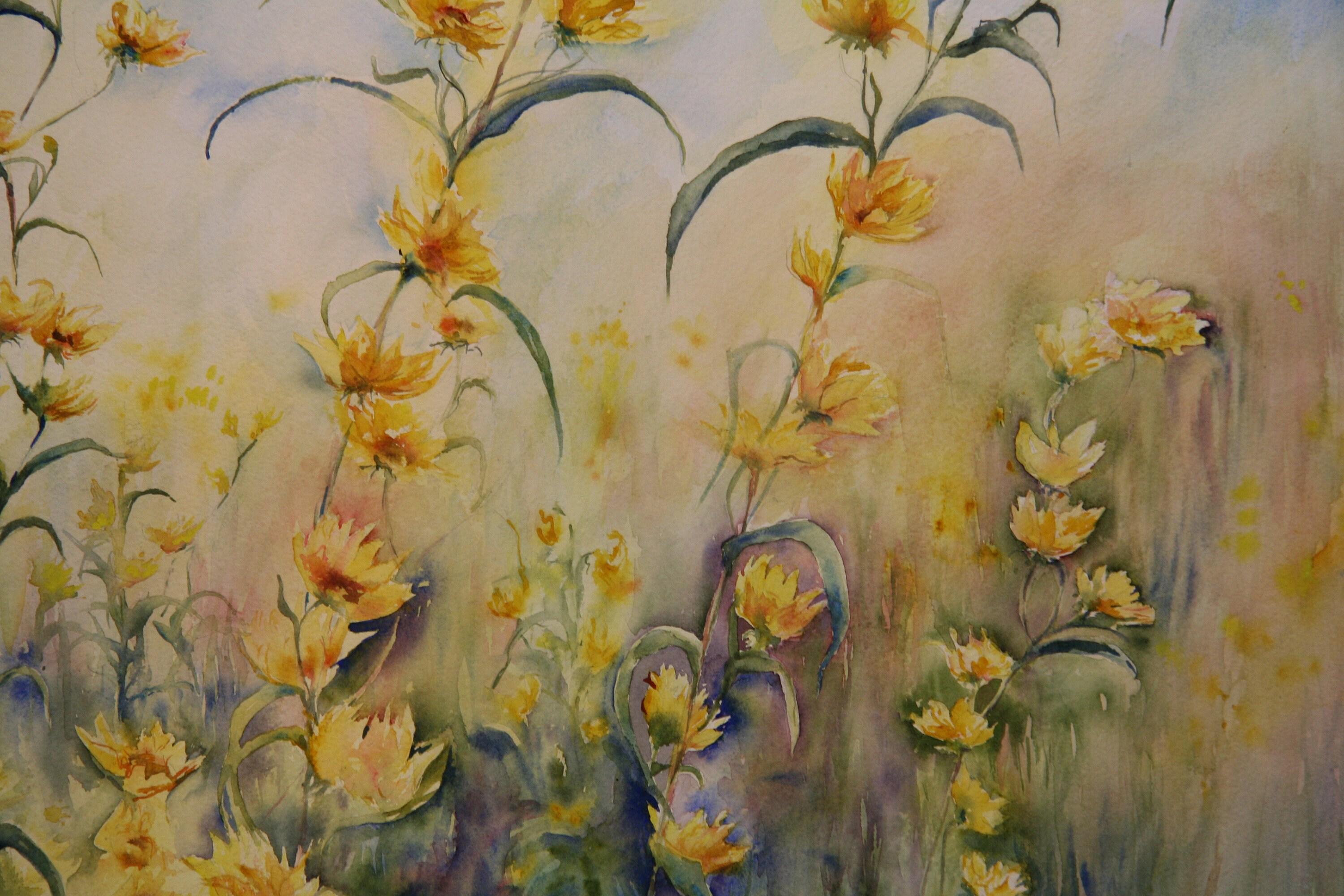 Wildflowers of the Tall Grass Prairie - Flint Hills Kansas Sunflowers ...