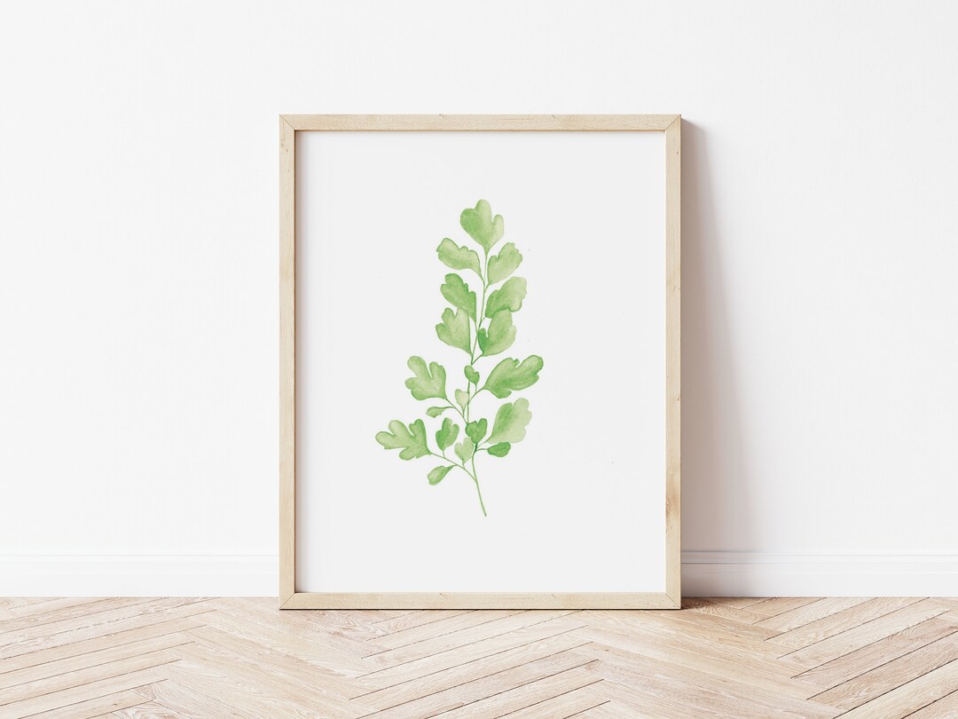 Cilantro Herb Watercolor Print | Watercolor Cilantro Painting ...