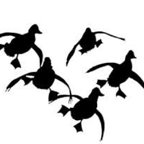 Duck Silhouette - Etsy